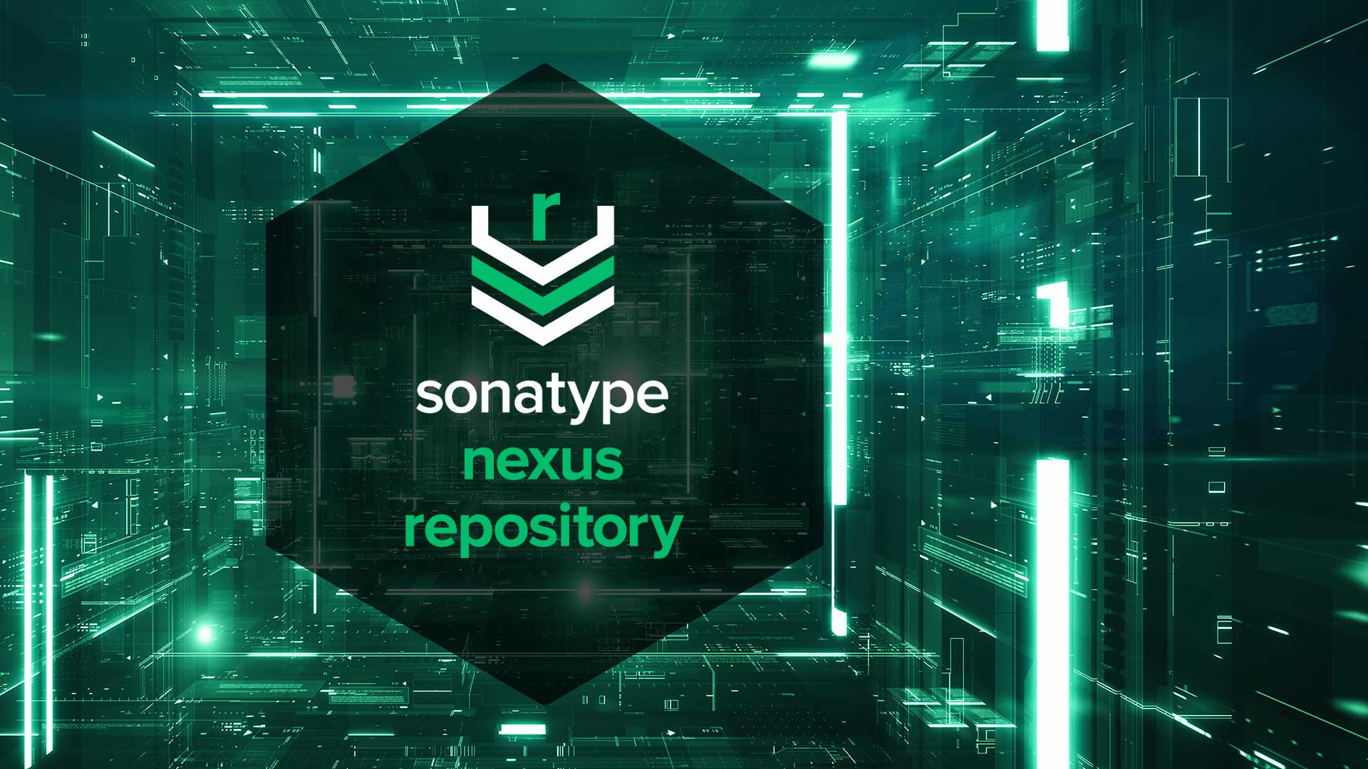 Sonatype Logo Sonatype Data Research Team