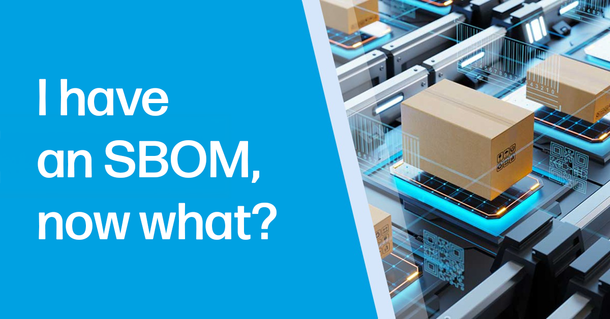 I Have an SBOM, Now What?
